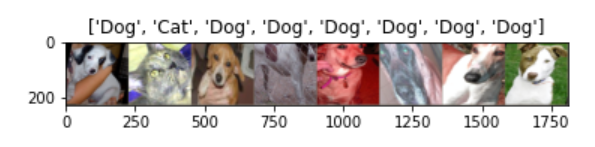 Transfer Learning using VGG16 in Pytorch | VGG16 Architecture