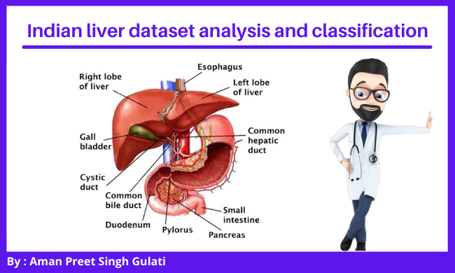 Liver Dataset Analysis | Indian Patient's Liver Dataset Analysis