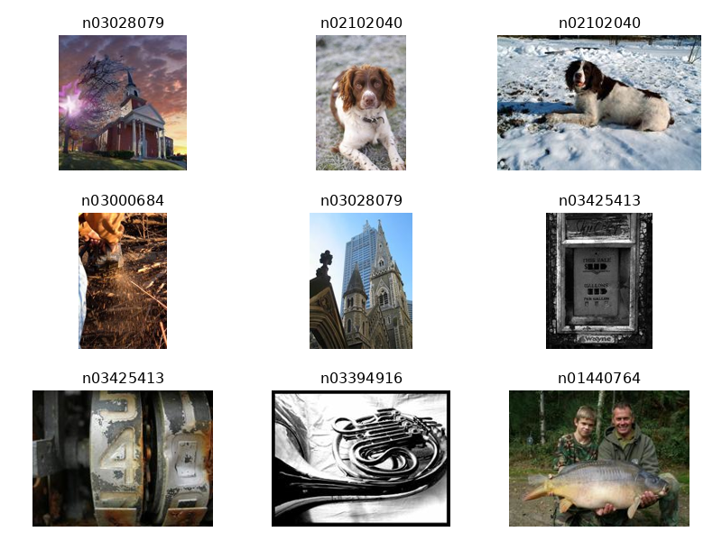 Simple Image Classification Using FastAI.jl - Analytics Vidhya