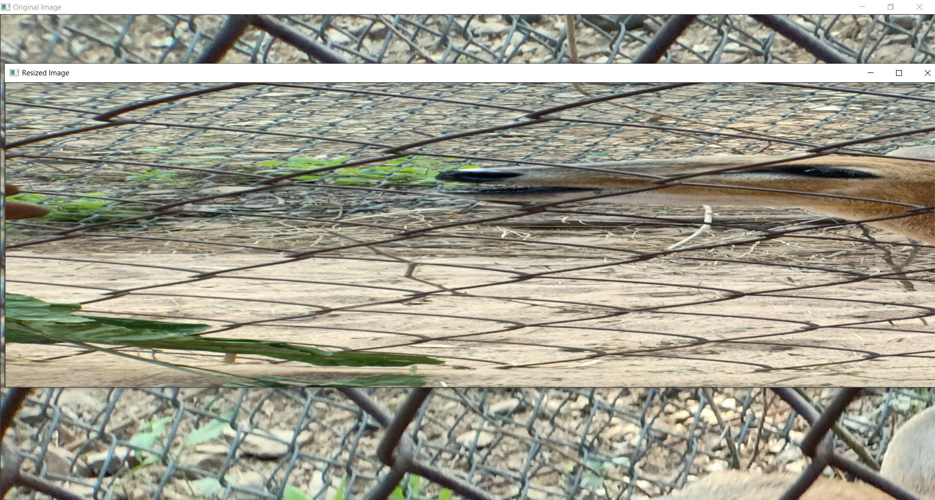 Watermark Images using OpenCV |How to Watermark Image with OpenCV