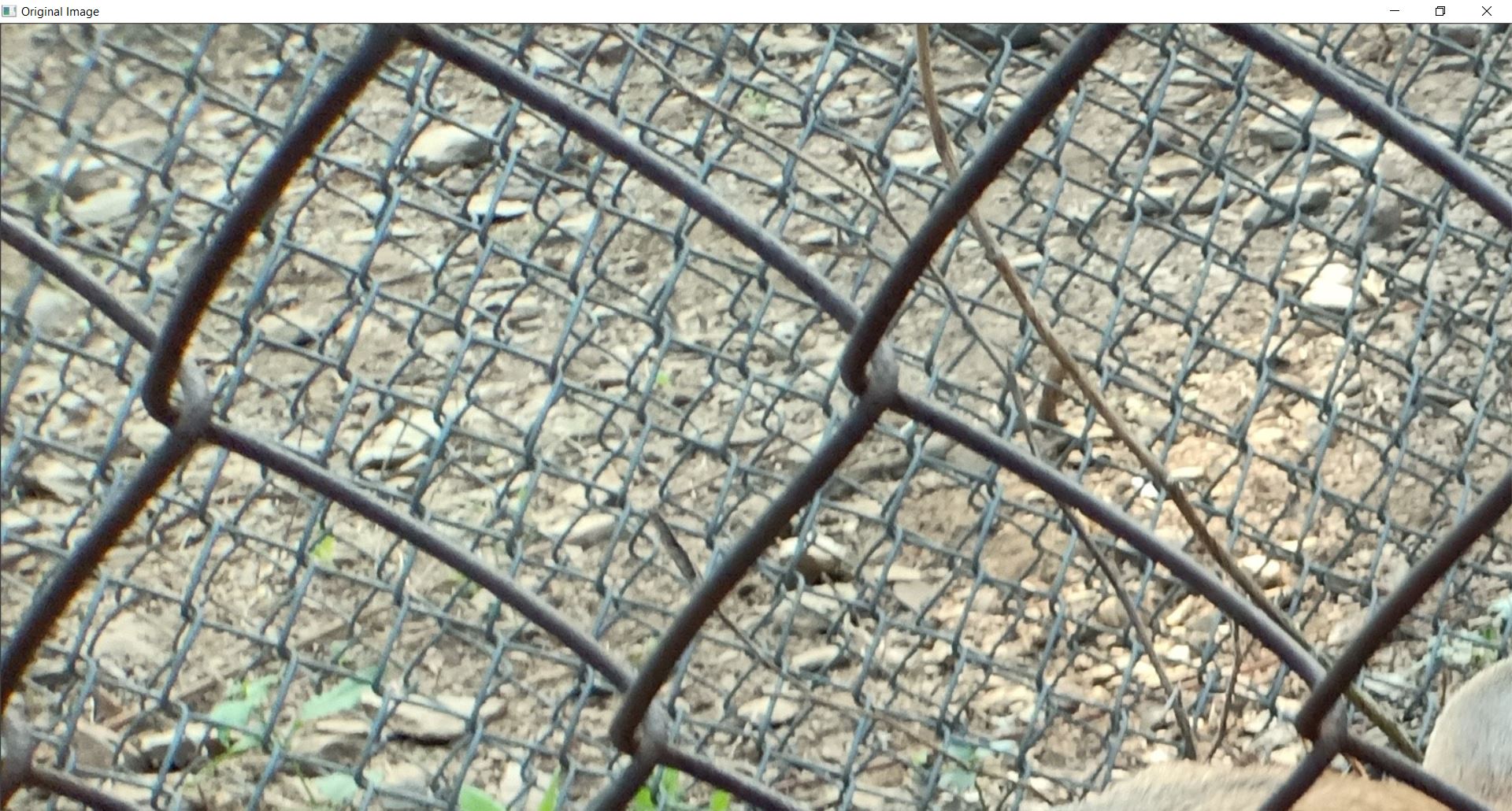 Watermark Images using OpenCV |How to Watermark Image with OpenCV