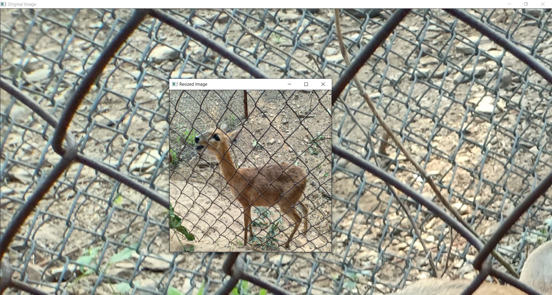 Watermark Images using OpenCV |How to Watermark Image with OpenCV