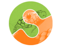 Top Python Libraries For Image Processing In 2021